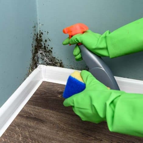 Is Your Skin Rash From Mold Exposure?- Fatigue To Flourish